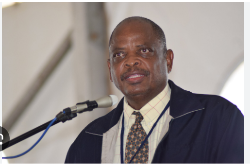 Barolong Boora Tshidi Traditional Council – Barolong Boo Ratshidi